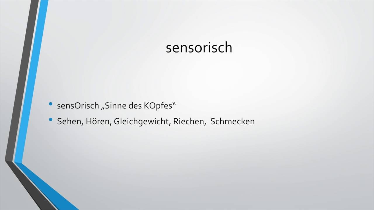 Begriffe: Sensorisch versus sensibel - YouTube
