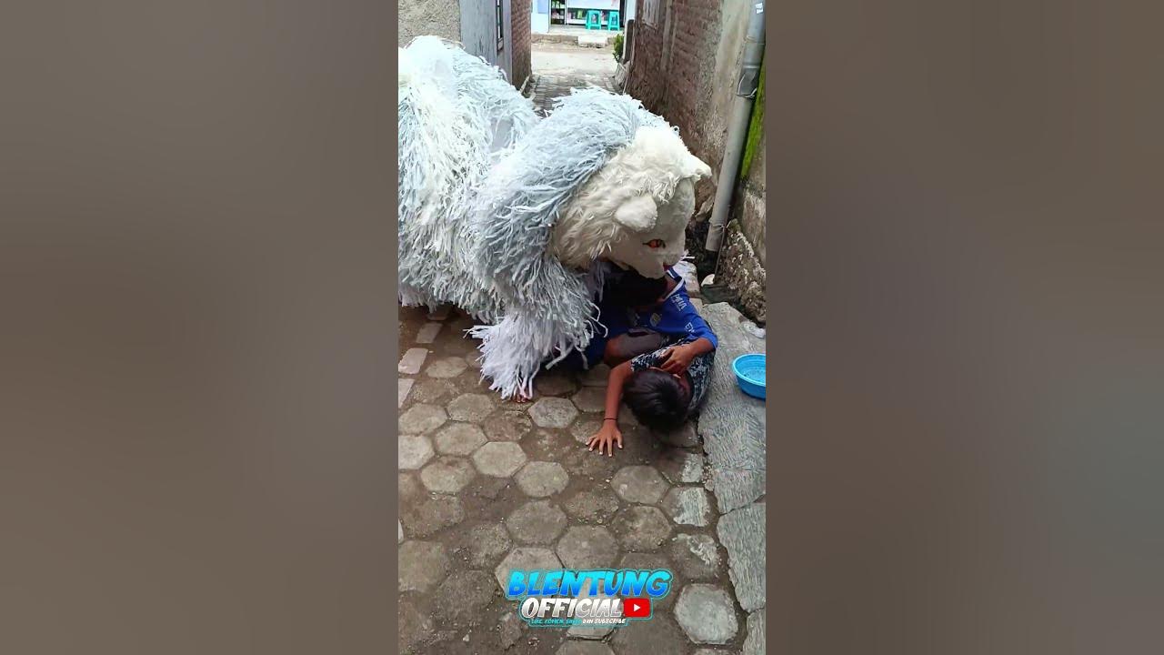 Bocil ff di kejutkan can macanan sampe jatuh dimaakan - YouTube