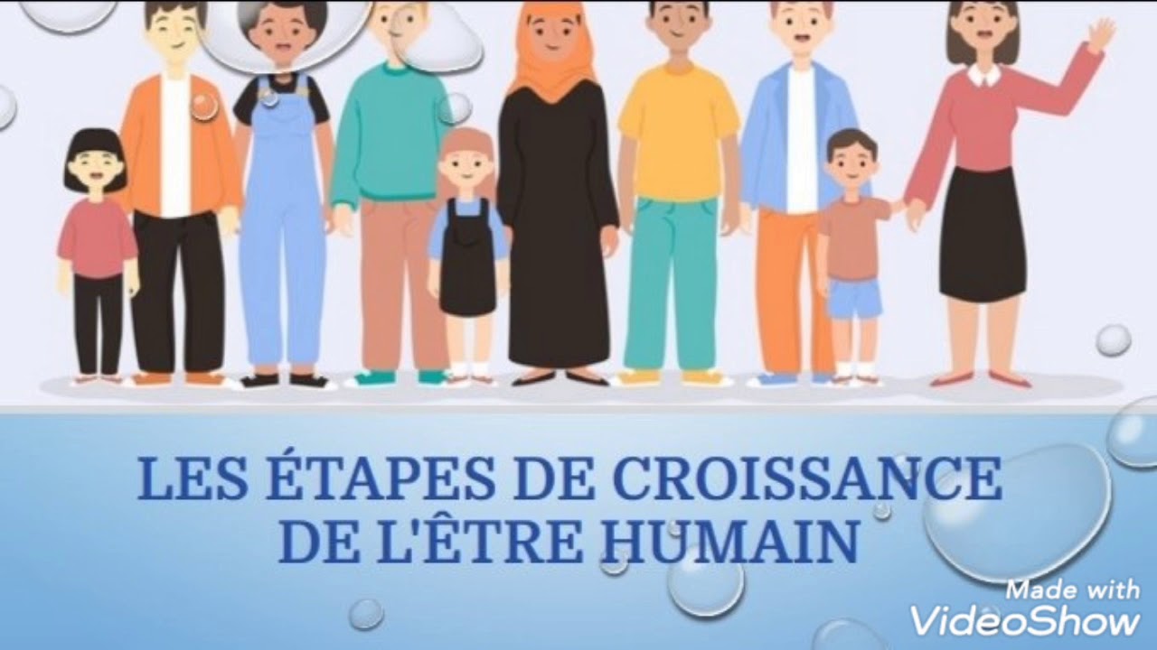 Les étapes de croissance de l'être humain - YouTube