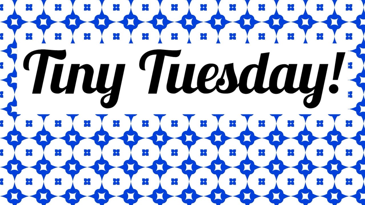 Its Tiny Tuesday Time 🎉🎉 Youtube 6824