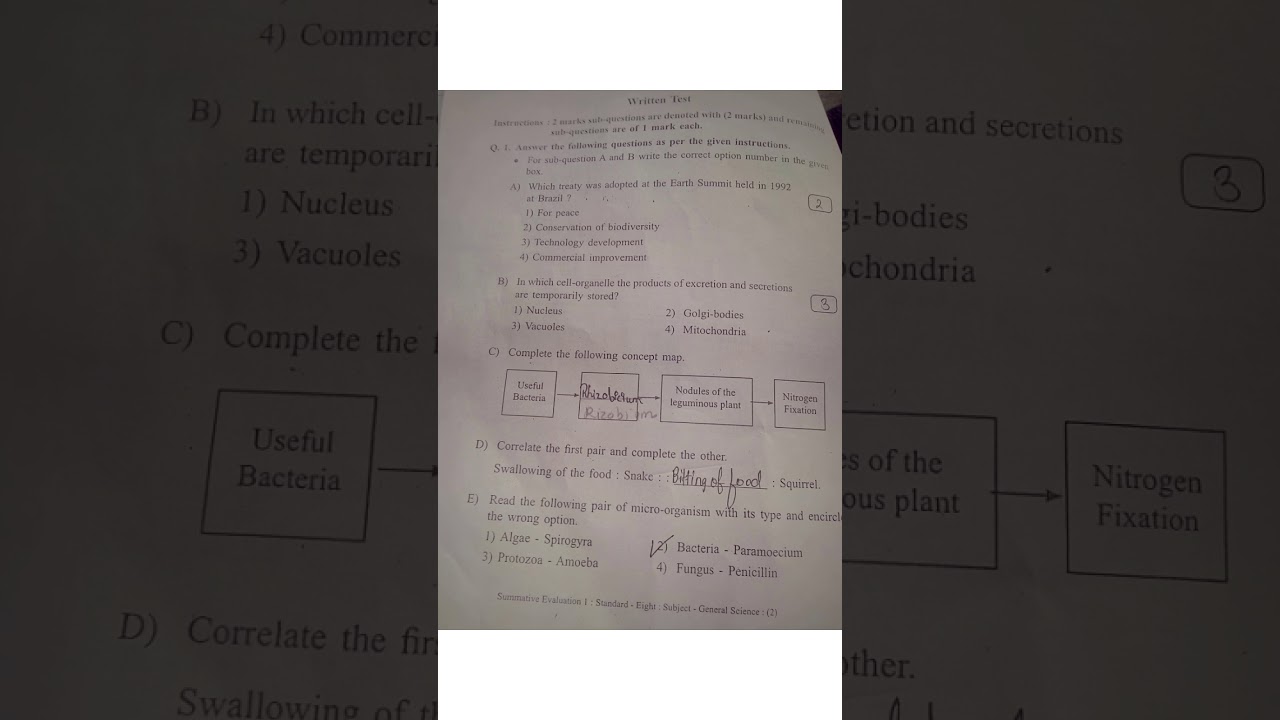Latest baseline paper of 8 th std - YouTube