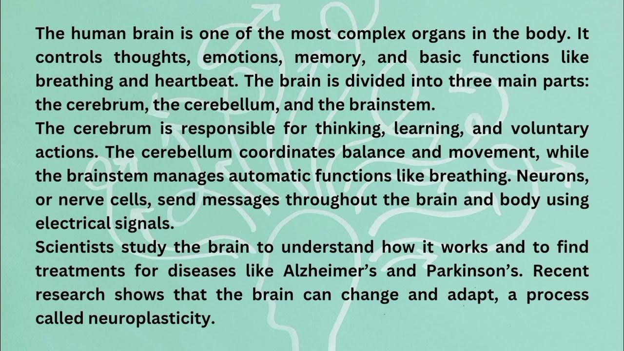 The Human Brain- Interesting understandable knowledgeable reading ...