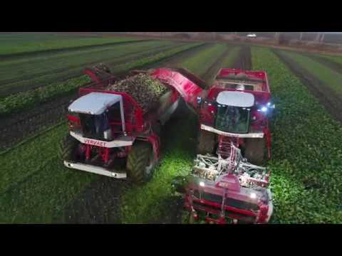 Kees Hage van Loonbedrijf Hage over Vervaet bietenrooiers en bieten ...