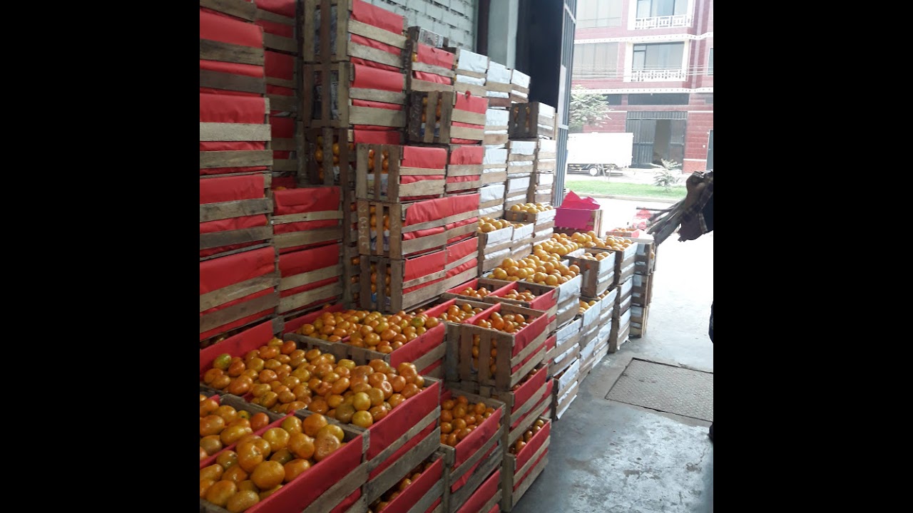 Transmisión en vivo de Danny Poma Fuertes - YouTube