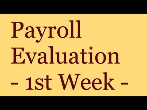 C++ Programming - Payroll Evaluation - 2-Week Period - YouTube