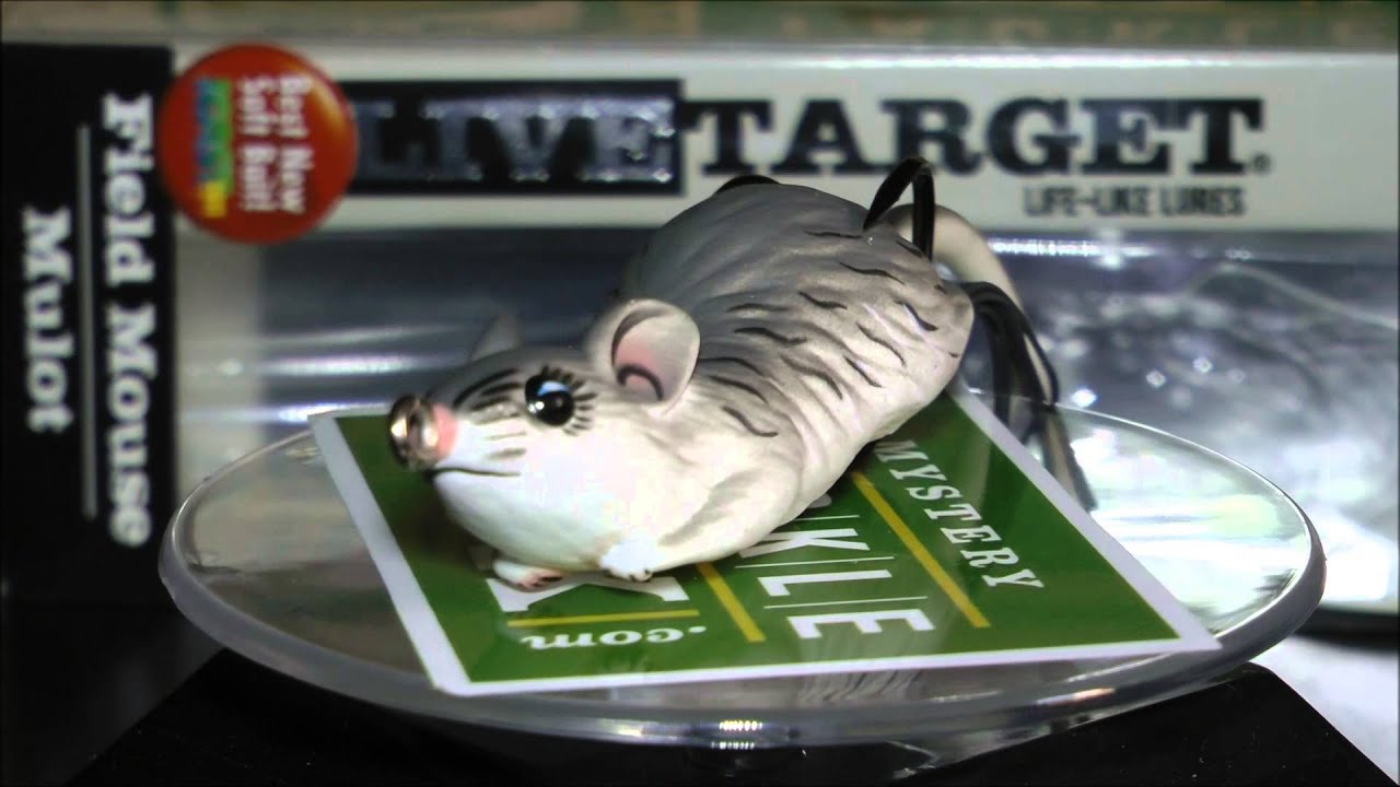 LiveTarget Field Mouse - Mystery Tackle Box - YouTube
