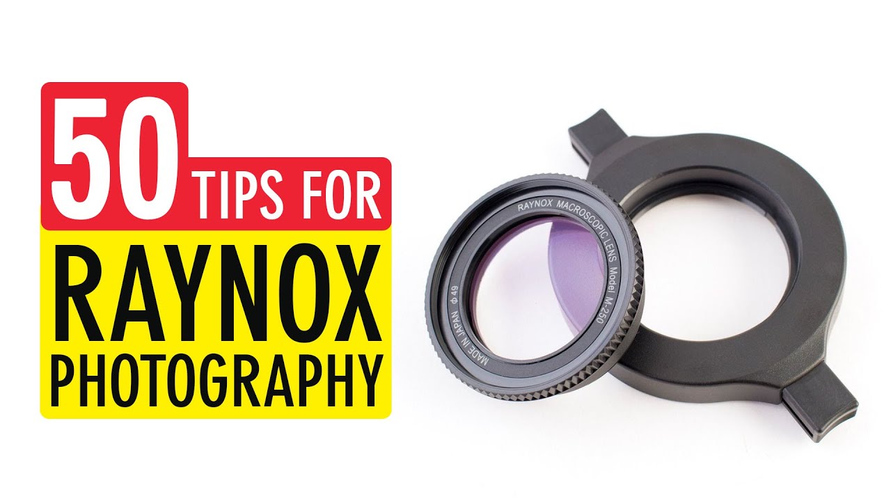 50 Tips for Raynox Photography (How to Shoot Macro Photos with Raynox ...