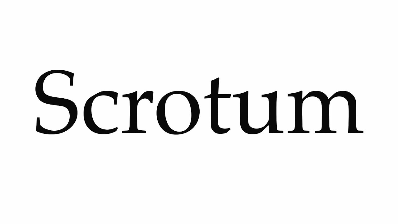 How to Pronounce Scrotum - YouTube