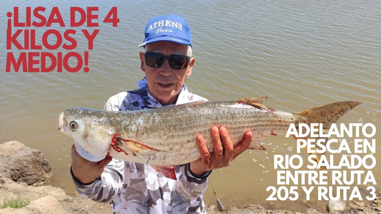 ¡LISA GIGANTE EN EL RIO SALADO! - PESCA DE COSTA EN BUENOS AIRES - YouTube