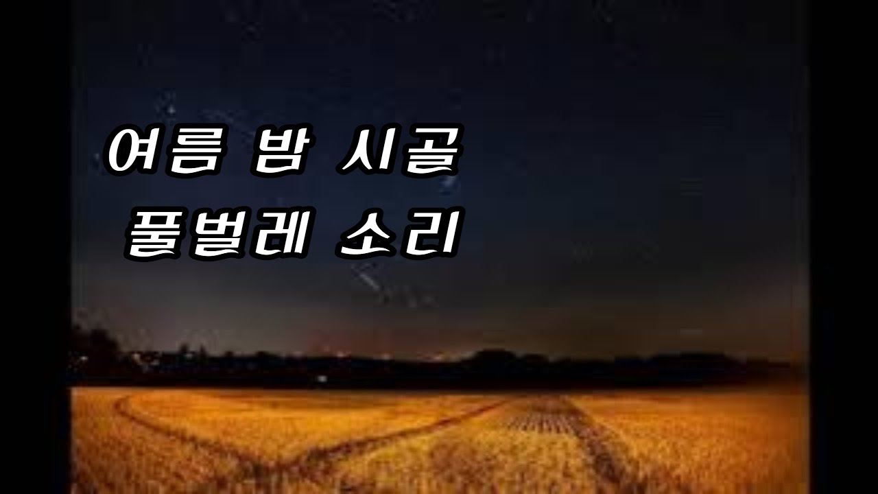 여름 밤 시골 들판의 풀벌레 소리 마음이 평온해지고 잠이 잘 오는 풀벌레 소리 Asmr Youtube