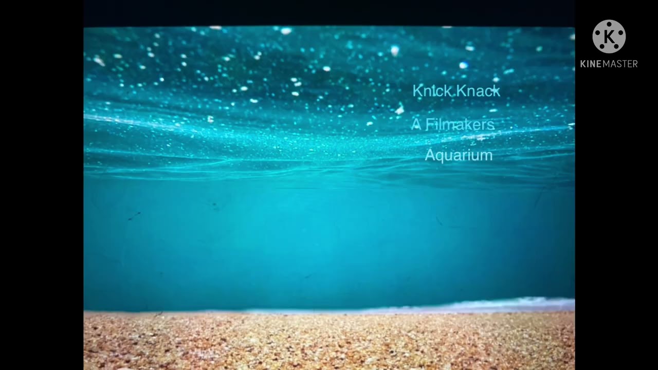 Finding Nemo Live Action DVD Menu Walkthrough - YouTube