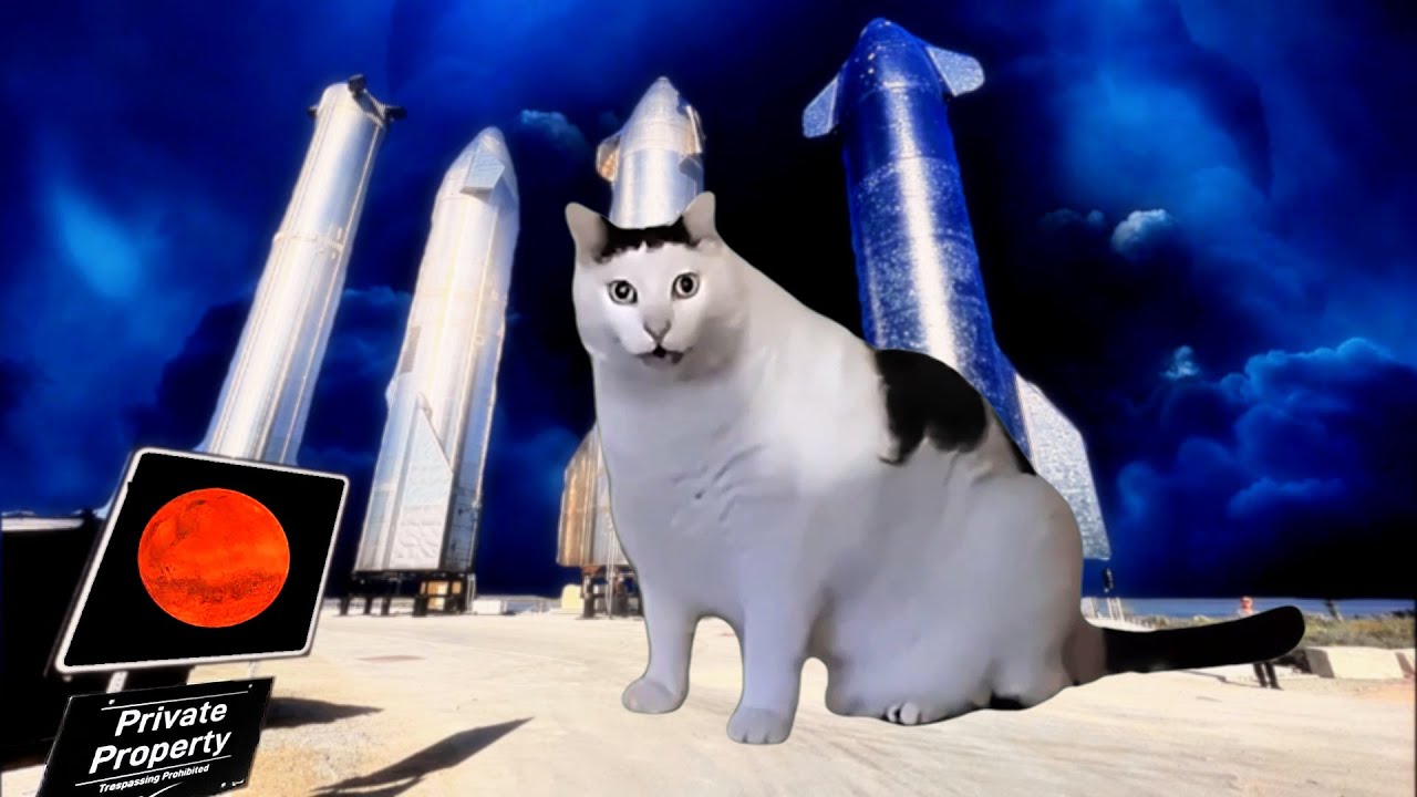 Cat Rockets to Mars on SpaceX Starship 🌍 Mars Mission - YouTube