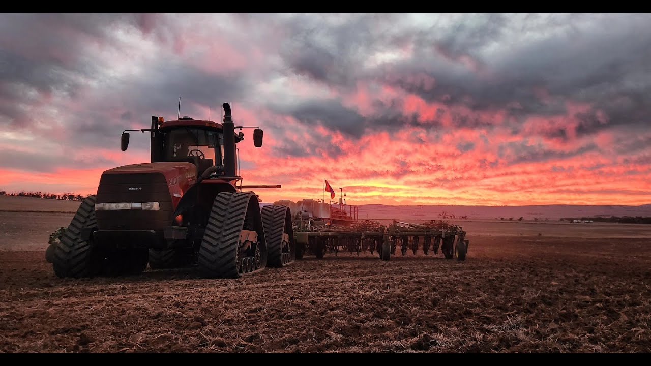 Seeding 2024-Live- back to lentils. 400ha left - YouTube