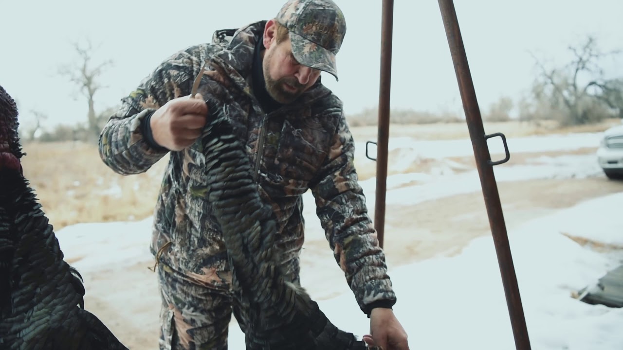 Tips for Field Dressing a Turkey - The Ultimate Winter Turkey Hunt ...