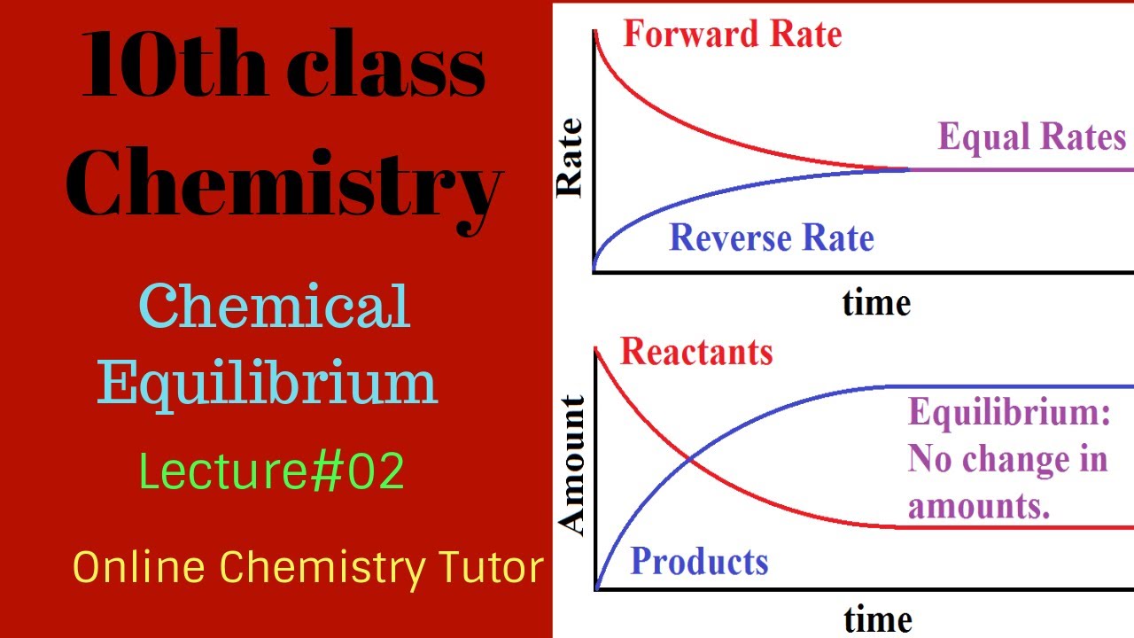 10th Class Chemistry|Types of Chemical Equilibrium| lecture 2| - YouTube