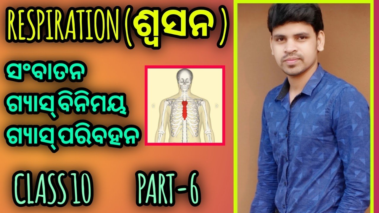 Respiration For Class 10 PART-6 ||ଶ୍ୱସନ ||Inspiration and Expiration ...
