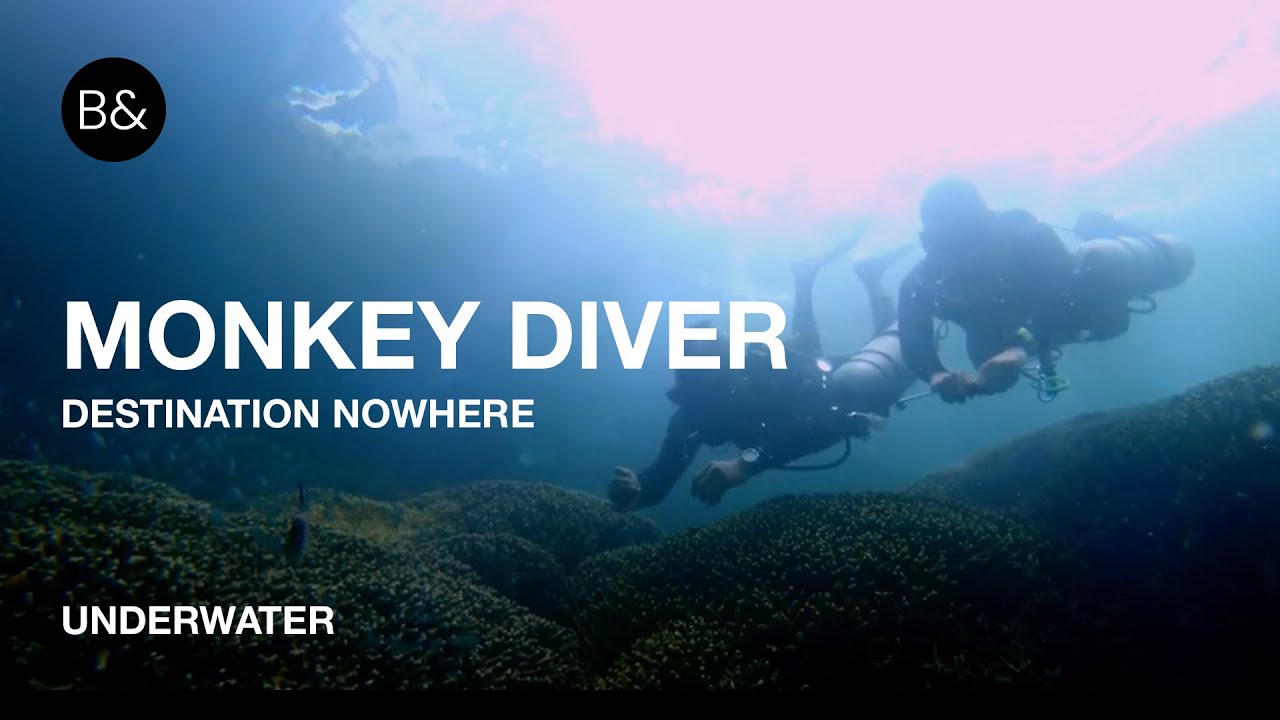 MONKEY DIVERS | Destination Nowhere | @bnwtf - YouTube