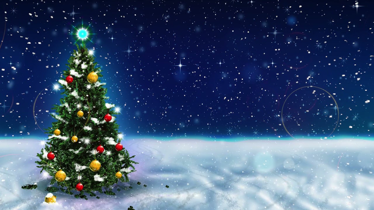 Free Christmas video loop 10 | Christmas Tree | Free HD Video - no ...