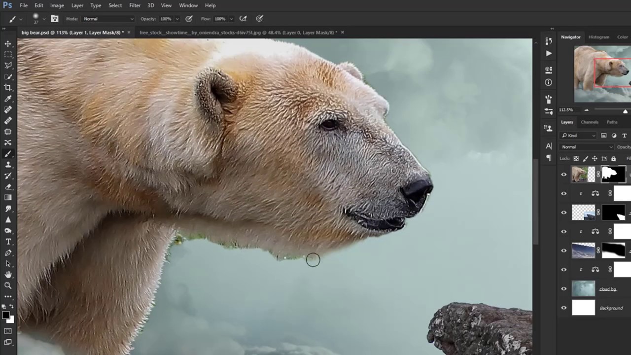 Big Bear - Photoshop Manipulation Tutorial! - YouTube