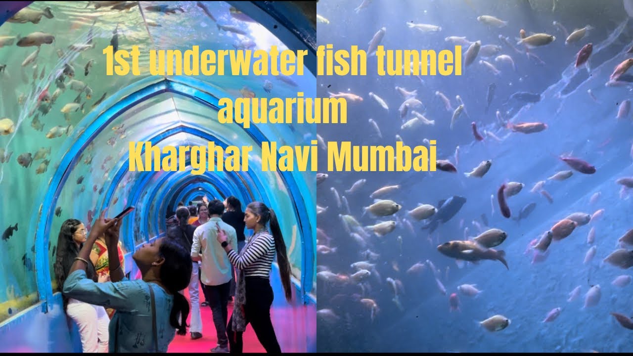 1st underwater Fish tunnel Aquarium Kharghar /Stanley sekha/Kharghar ...