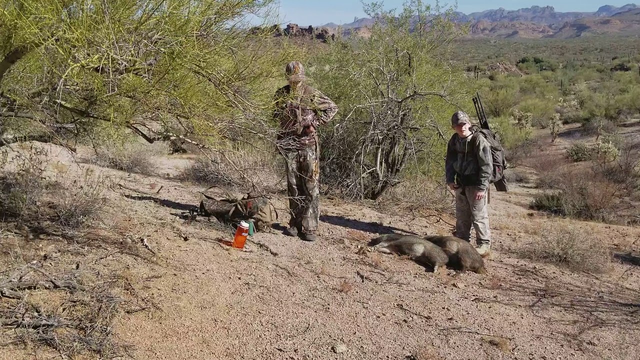 Javelina Hunt 2018 (Part 3) - YouTube