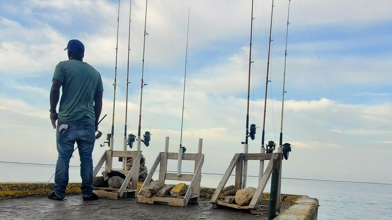 FISHING ON CAUSEWAY BRIDGE... - YouTube