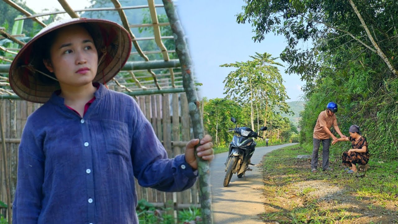 Mom went to find Chieu. Phan takes care of the garden. A kind person brought his mother home ...