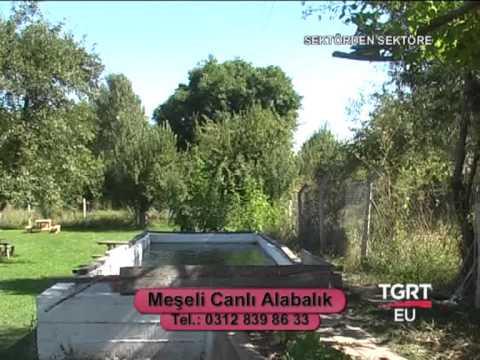TGRT EU/Sektörden Sektöre /Meşeli Canlı Alabalık-ÇUBUK