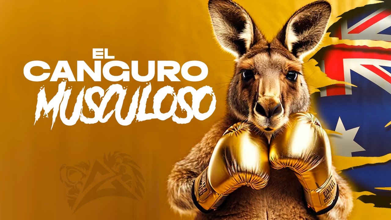 Así es el físico de los CANGUROS más MUSCULOSOS de Australia!💪🏼🦘 - YouTube