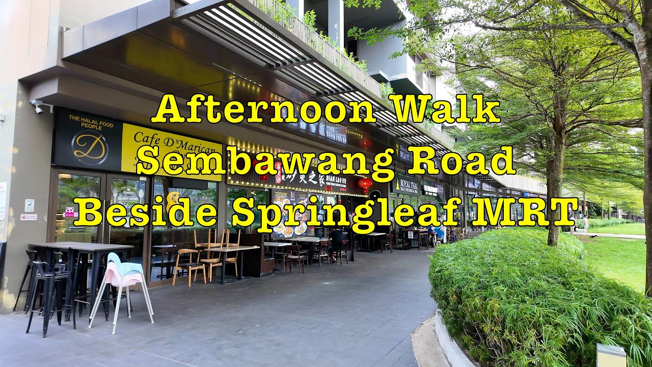 Afternoon Walk Sembawang Road (Near Springleaf MRT station) #singapore ...