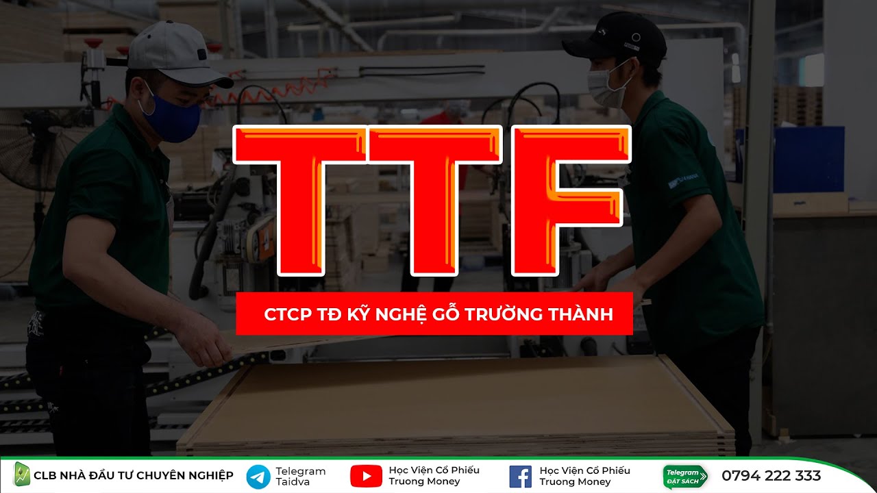 CTCP TẬP ĐOÀN KỸ NGHỆ GỖ TRƯỜNG THÀNH - TTF - YouTube