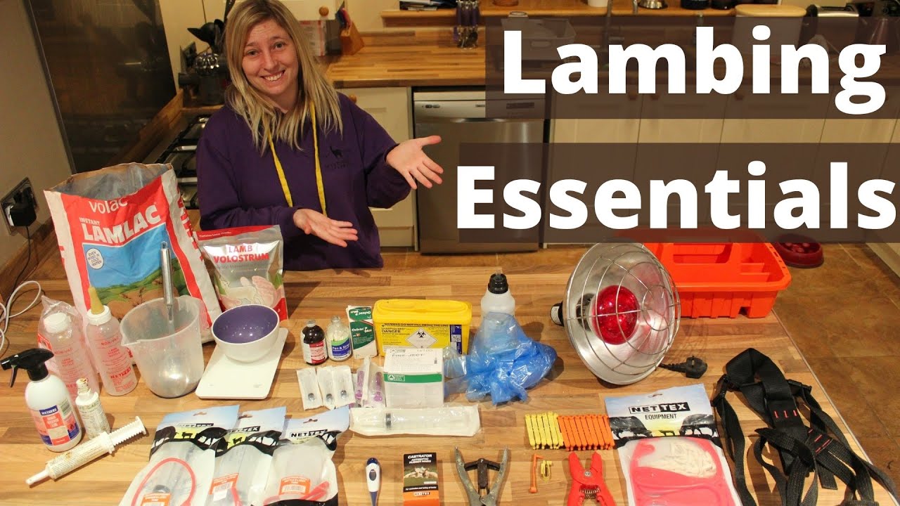 Lambing Essentials - Windfold Farm - 076 - Lambing Kit and Lambing ...