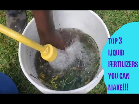 Top 3 Liquid Fertilizers You Can Make On Your Own!!! - YouTube