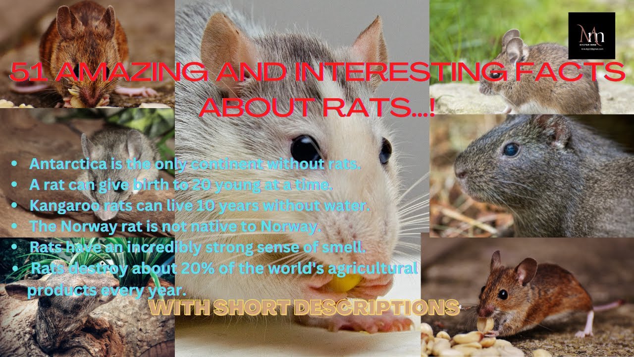 Amazing Facts That You Won't Believe...51 Amazing and Interesting Facts ...