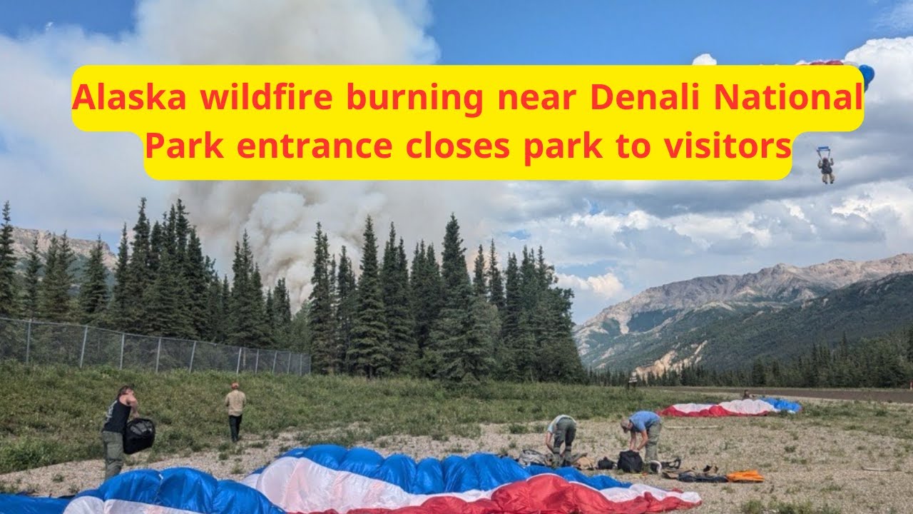 A wildfire in Alaska forced park rangers to close Denali National Park ...