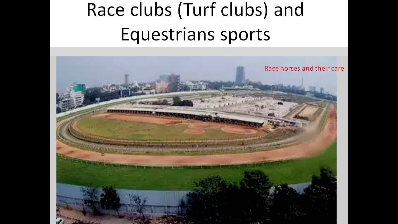 LPM 606: Race clubs (Turf clubs), Equestrian sports and doping - YouTube