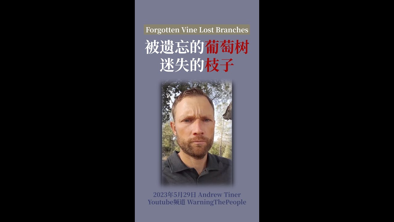 被遗忘的葡萄树，迷失的枝子 Forgotten Vine Lost Branches - WarningThePeople(Andrew ...