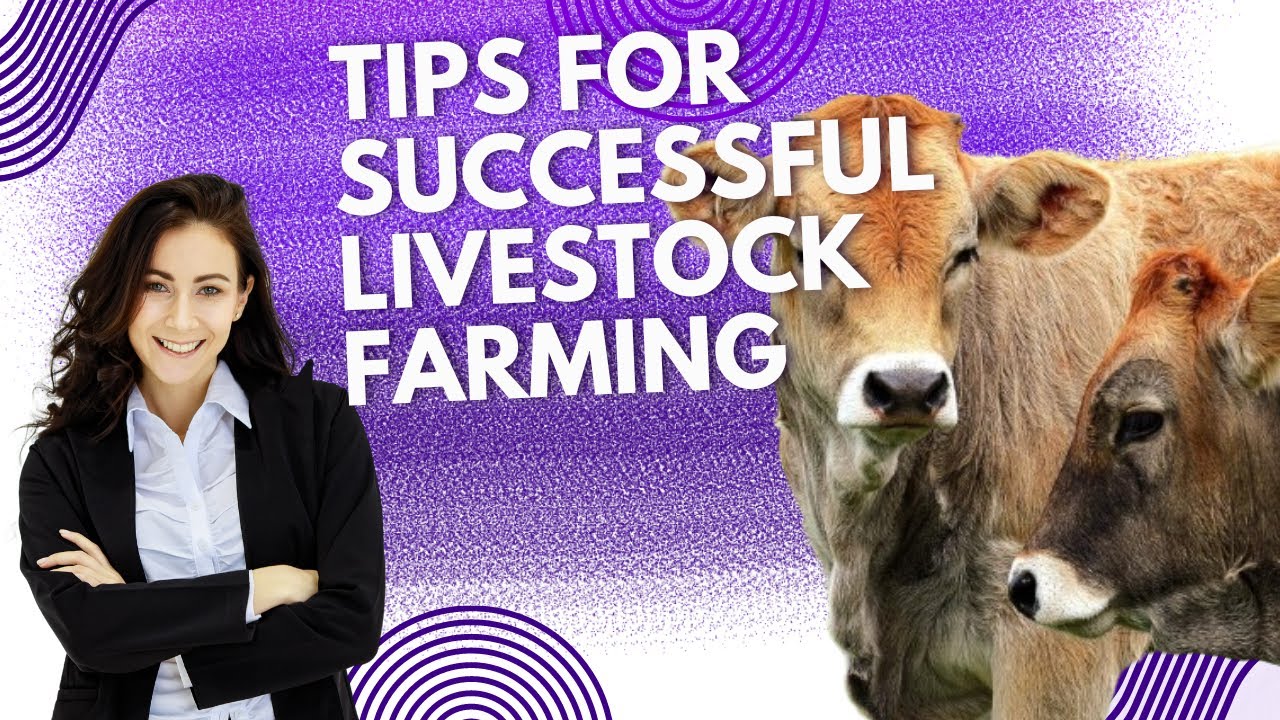 11 Tips for Successful Livestock Farming | Essential Strategies ...