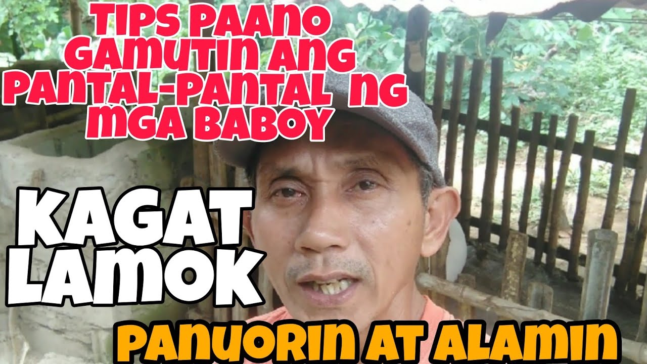 TIPS PAANO GAMUTIN ANG PANTAL PANTAL NA PULA SA BALAT NG BABOY - YouTube