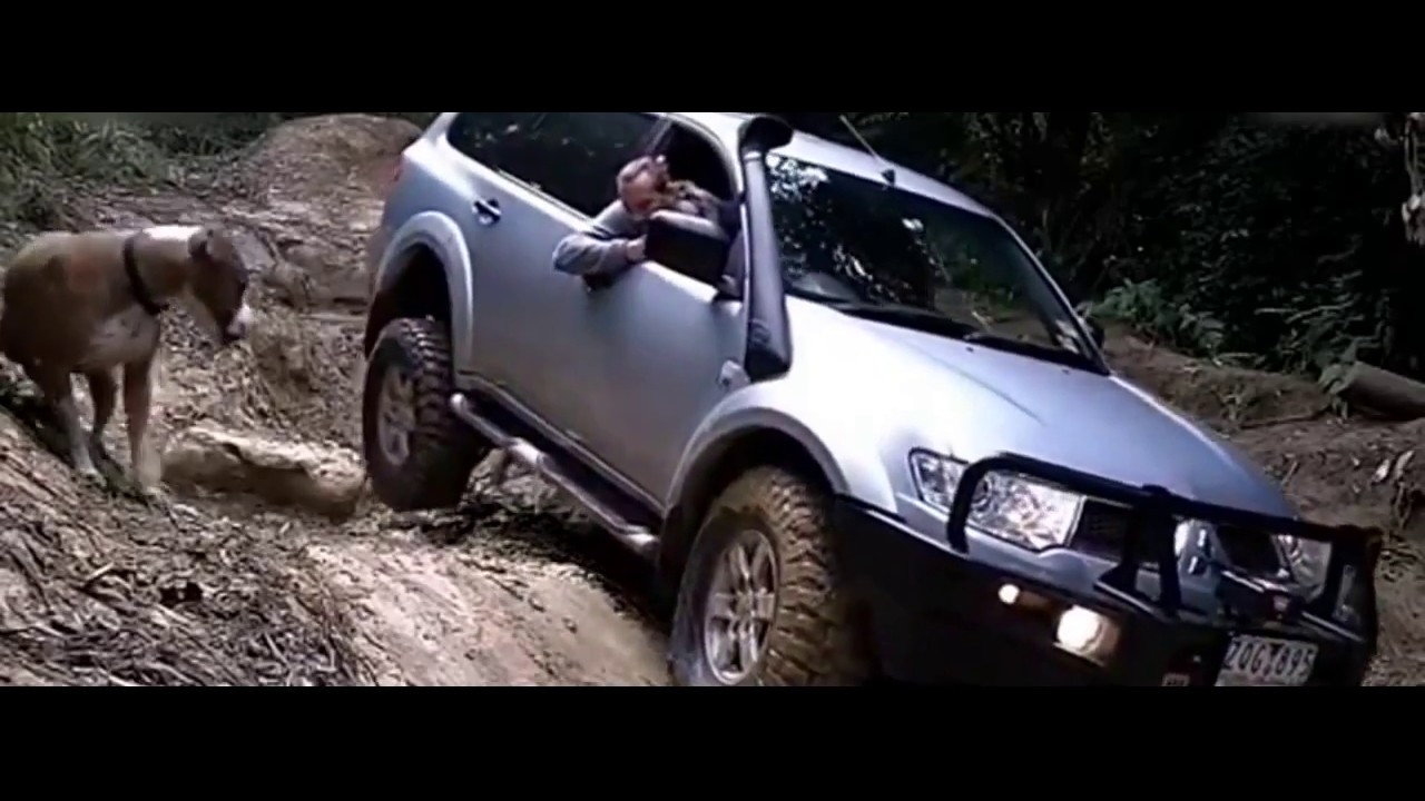 Top 10 Lucky and Brilliant Car Drivers - YouTube