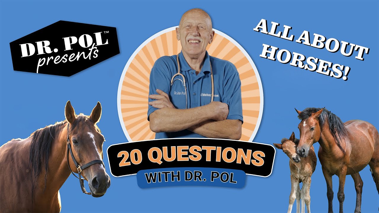 20 Questions With Dr. Pol - Dr. Pol Answers the Top 20 Horse Questions ...