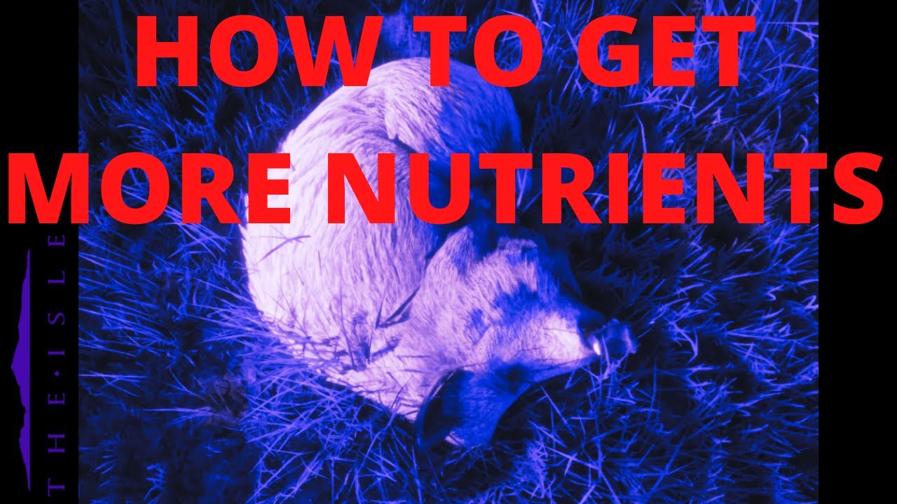 How to get more nutrients in The Isle Evrima ver. 0.8.33.05 - YouTube