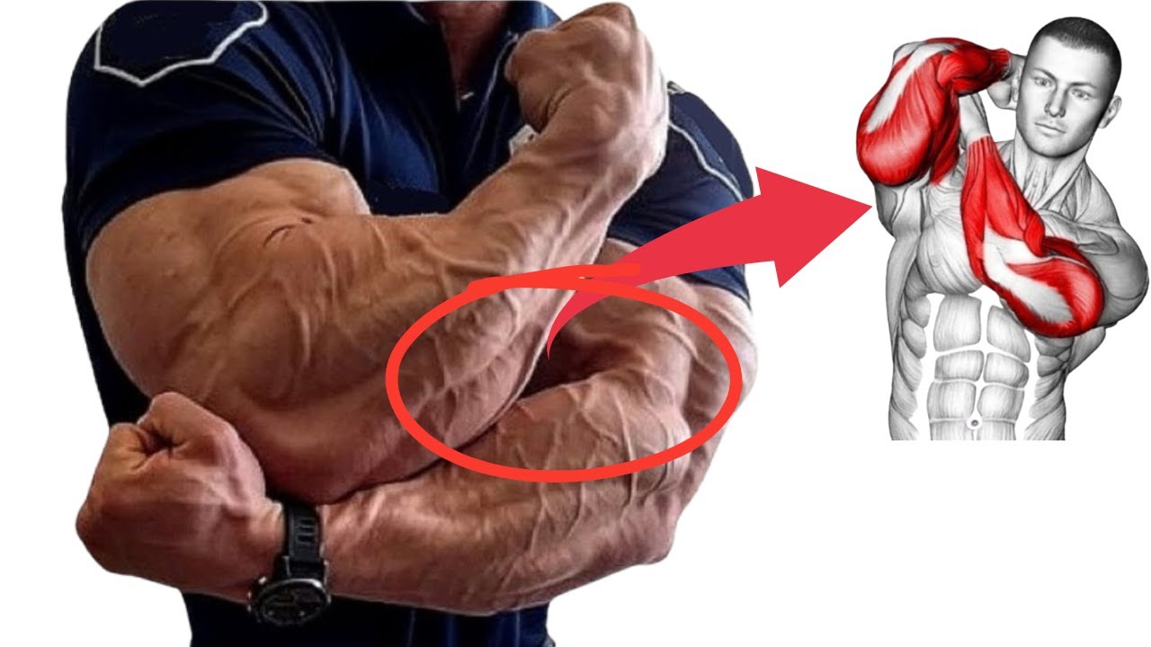 Get STRONGER ARMS FAST | Grow GIANT Triceps, Biceps & Forearms - YouTube