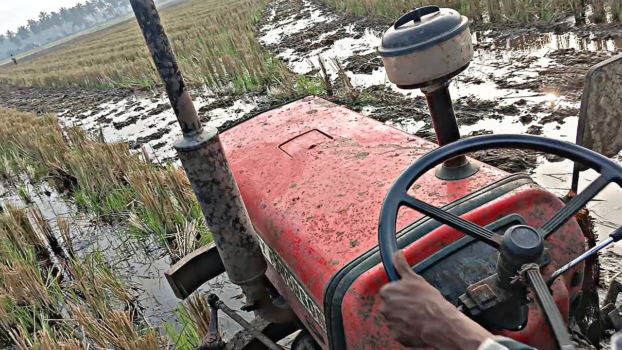 FORGUSON Tractor Dhammu Videos || Agricultural Land Harversting Video ...