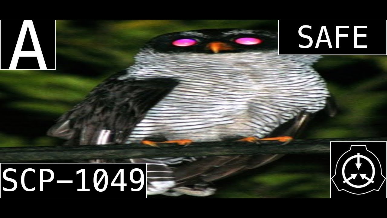 SCP-1049 "The Bonetaker Owl" [SCP Wikidot] - YouTube