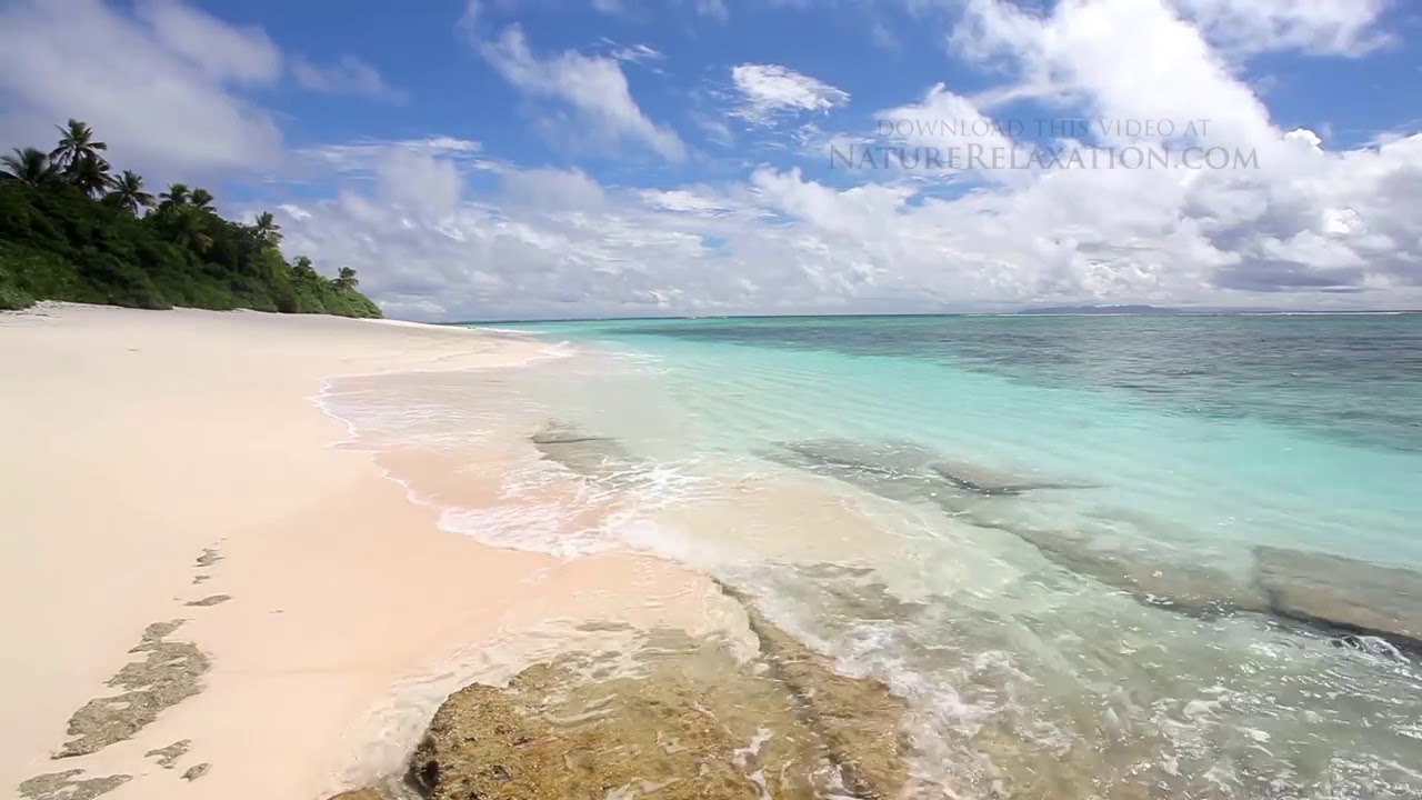 Live nature - YouTube