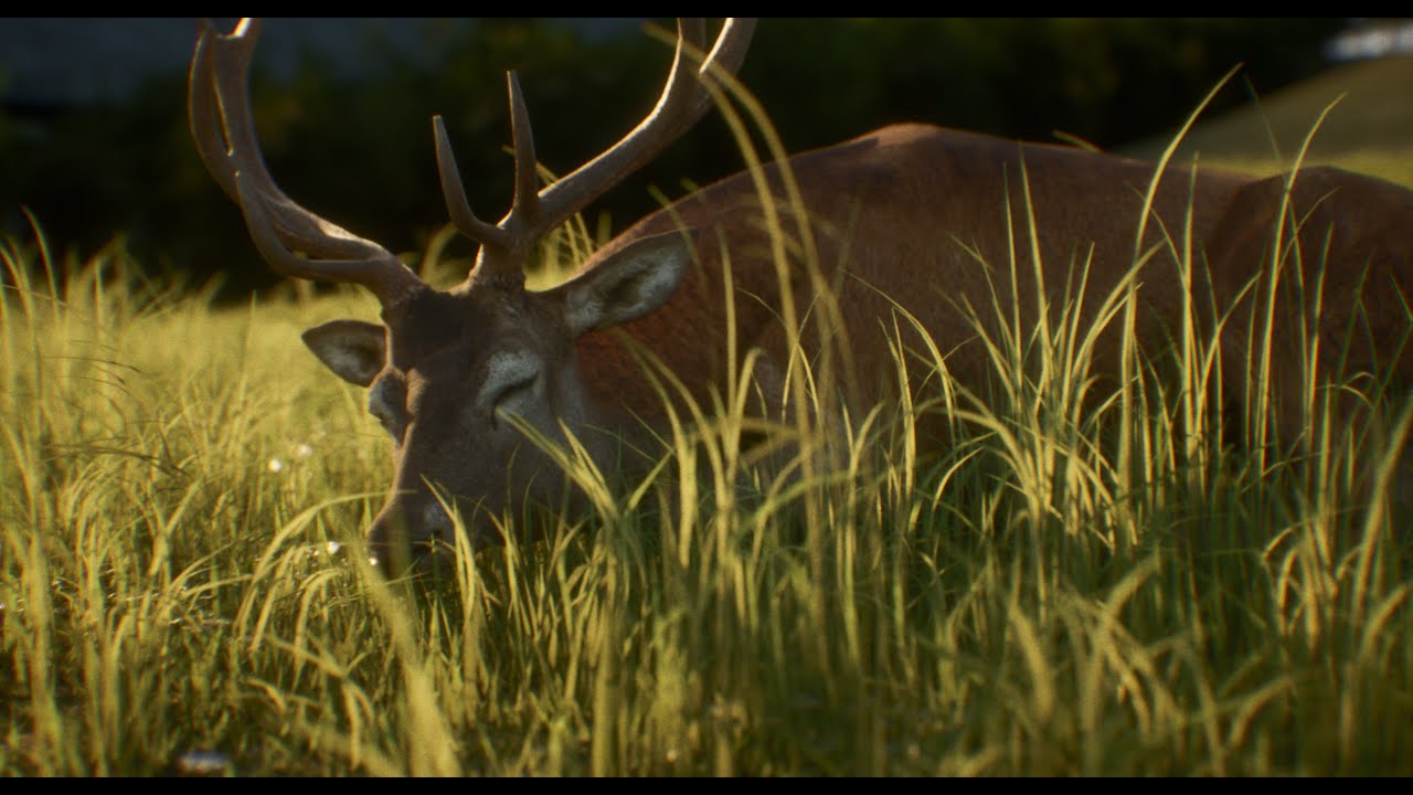 Hills Landscape Speed Level Design - Unreal Engine 5 - YouTube