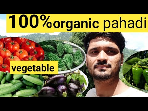 we grow organic pahadi vegetables 100%Healthy।। pahadi vegetables ...