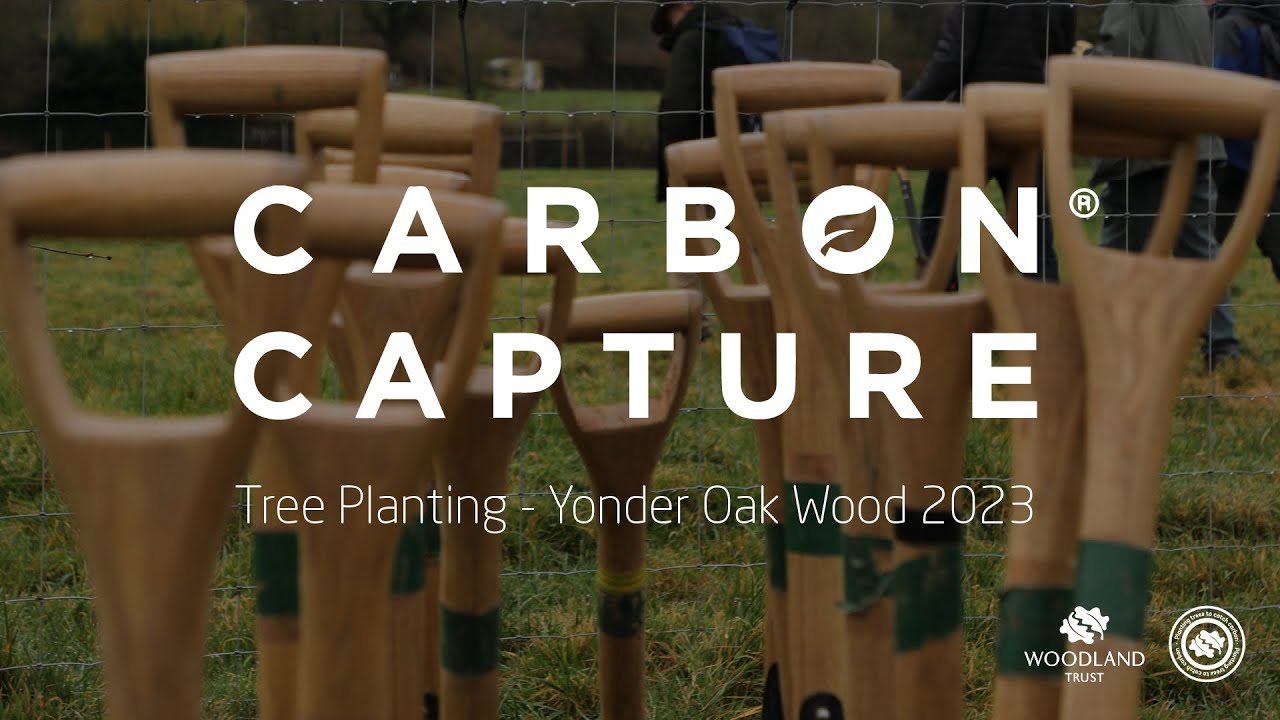 Tree Planting at Yonder Oak Wood 2023 - YouTube