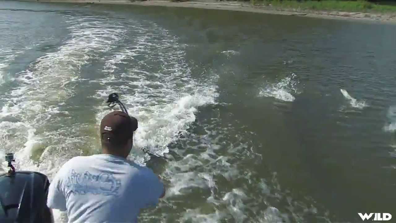 Bowfishing for Silver Carp in Kentucky - YouTube